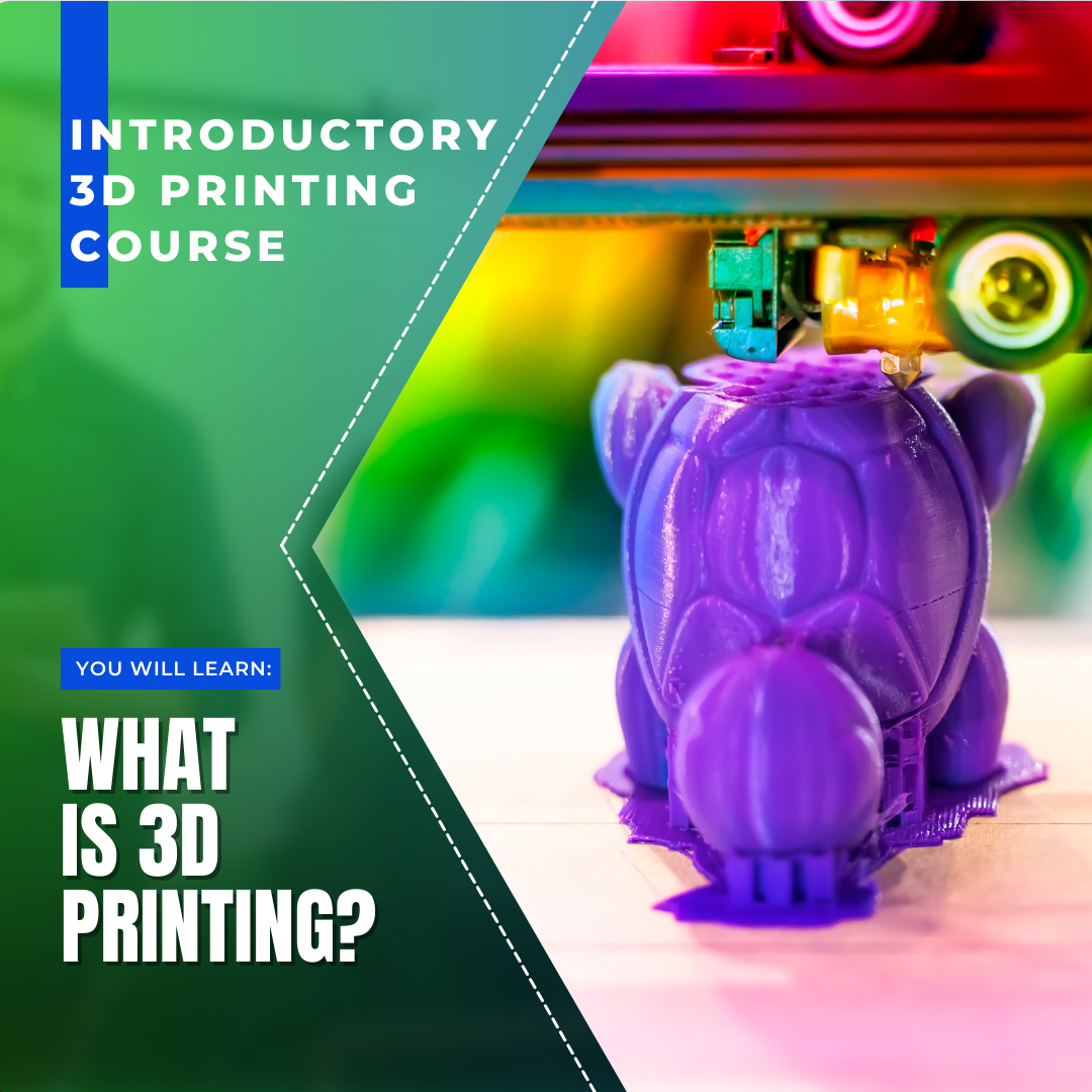 Introductory 3d Printing Training Course 3d Printing Store