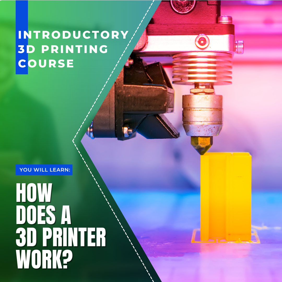 Introductory 3D Printing Training Course – 3D Printing Store
