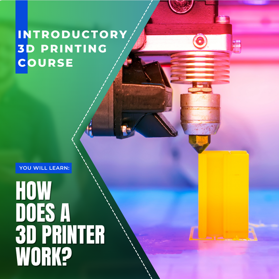 Introductory 3D Printing Training Course | 3D Printing Store